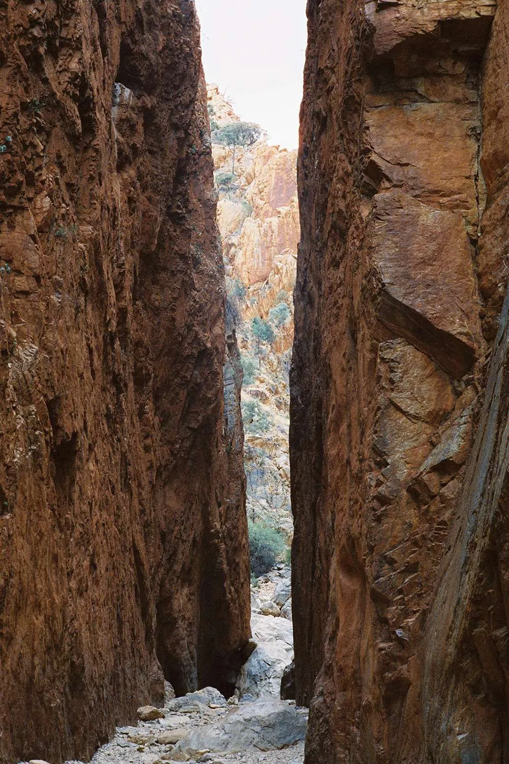 Standley Chasm Print | Central Australia Fine Art Prints | Damien Milan